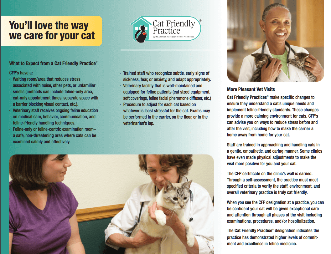 Cat Friendly Practice Salem | Cat Wellness Massachusetts