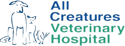 All creatures Veterinary Hospital Salem, MA | Mission and Vision