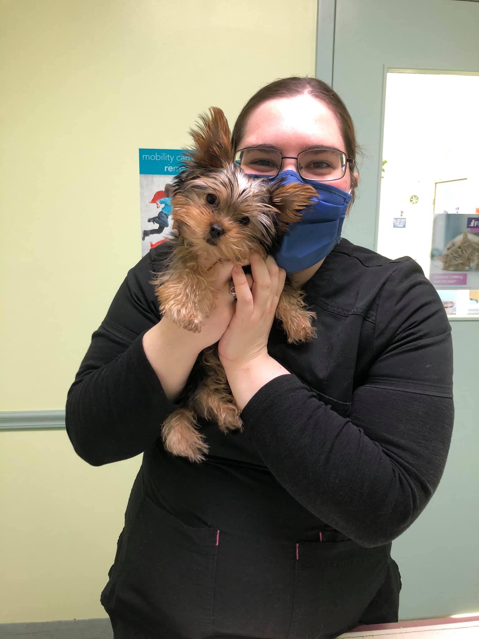 What is a Vet Tech (AKA Superhero)? | All Creatures Veterinary Hospital